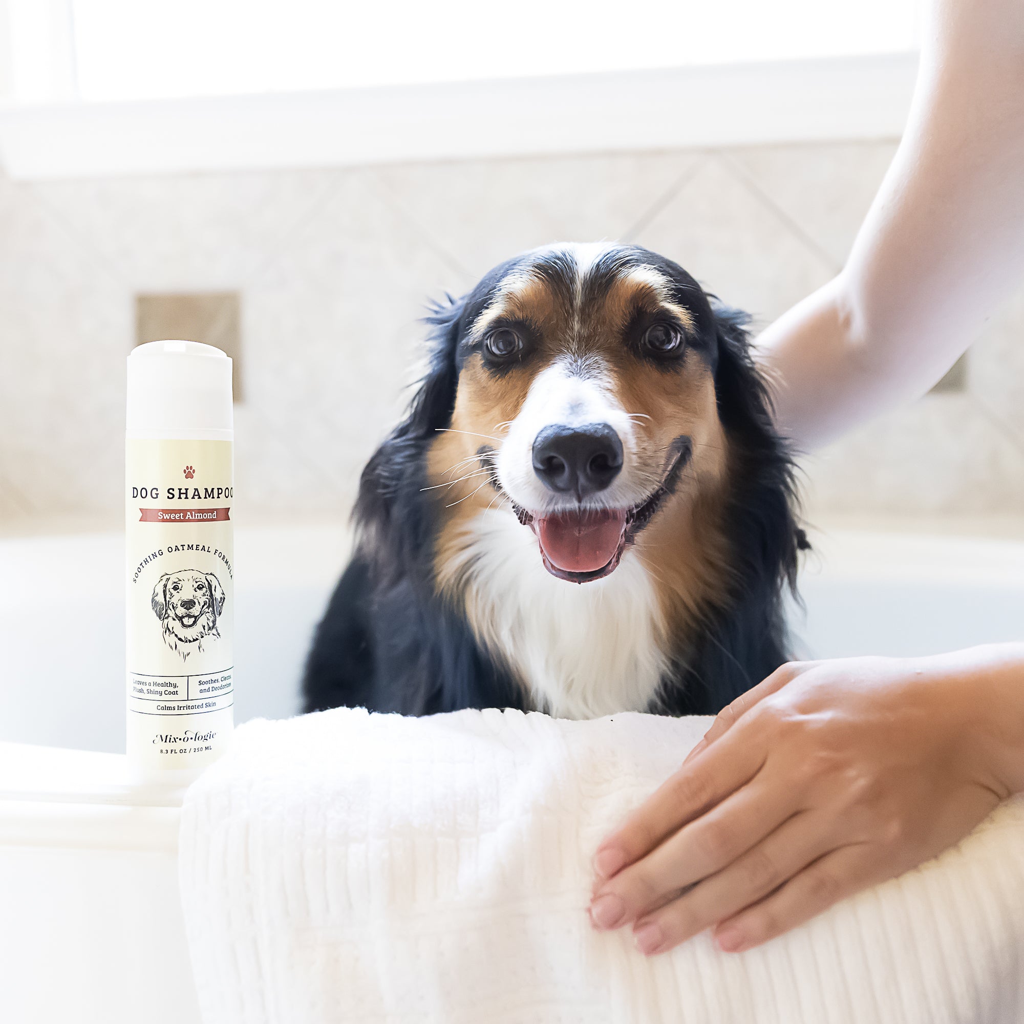 Dog Shampoo – Mixologie Wholesale